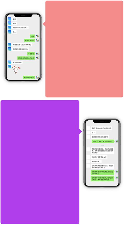 Igcse中文一对一在线辅导 专业师资，灵活上课时间