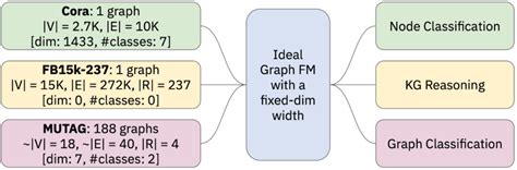 Foundation Models In Graph Geometric Deep Learning Towards Data Science