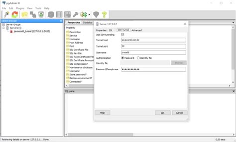 Acessando O Postgresql Pelo Pgadmin Wiki Integrator Do Brasil