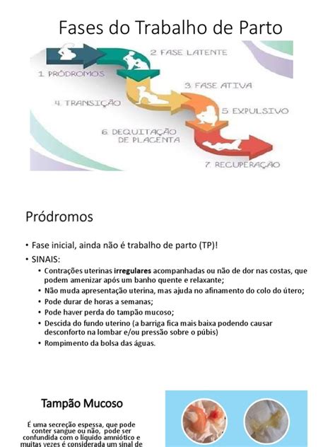 Fases Do Trabalho De Parto Explicadas Pdf Parto Gravidez