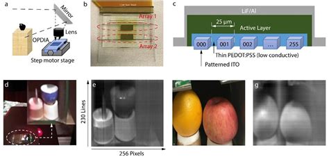 New Organic Material Outshines Traditional Nir Detectors