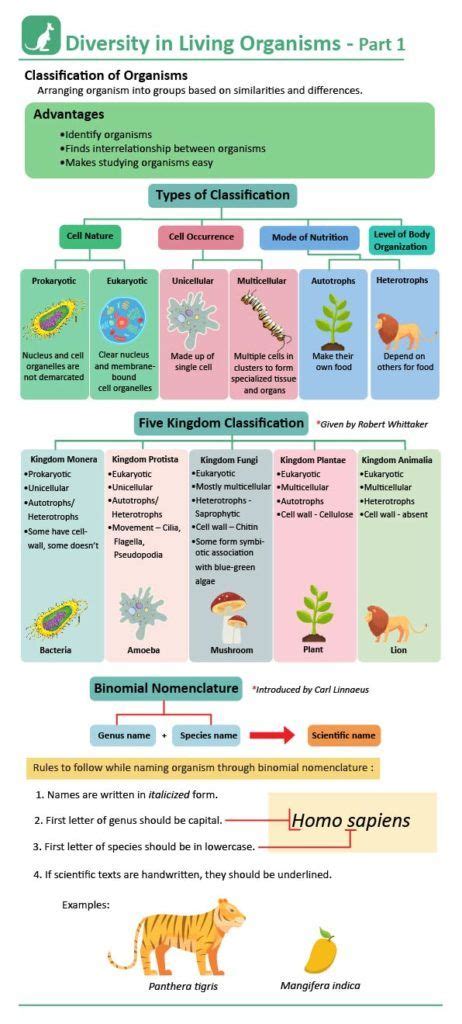 Five Kingdom Classification Kingdoms Features Examples In 2025 Learn Biology Biology Facts
