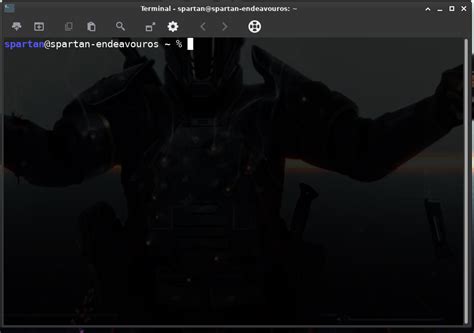 Oh My Zsh Does Not Work Newbie Endeavouros