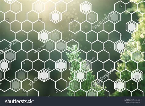 Hexagonal Structure Molecule Technology Background Science Stock Photo Shutterstock