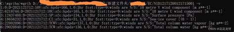 Wgribwgrib2下载与ecwmf数据读取wgrib下载 Csdn博客