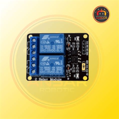 2 Channel 12v Relay Module MA Robotic