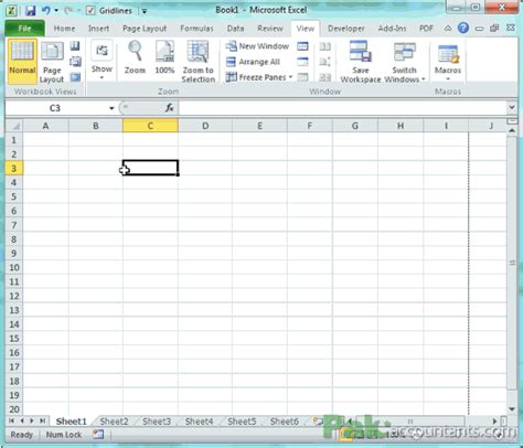 Hiding Gridlines In Excel Learn The Right Ways PakAccountants Com