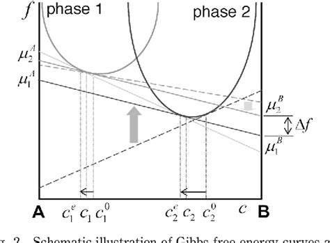 Figure 2 From Microstructure Simulation For Solidification Of Stainless Steel By Multi Phase