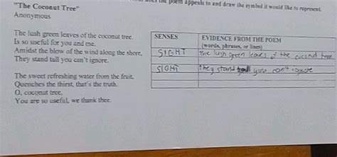 The Coconat Tree Anonymous The Lush Greea Studyx