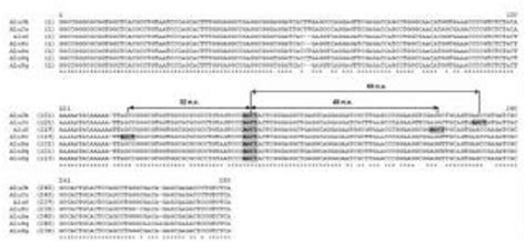Alui Sites Agct Distribution Among Alu Repeats Subfamilies Bottom