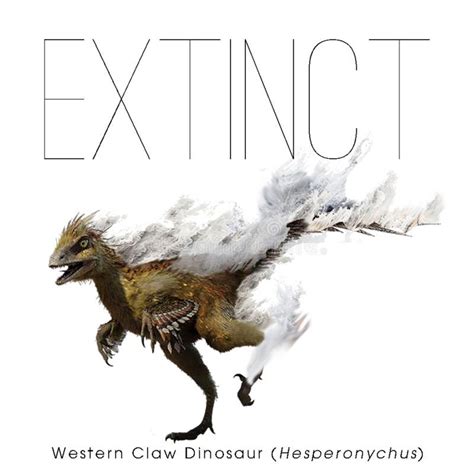 Hesperonychus Was One Of The Smallest Dinosaur In The Late Jurassic Era