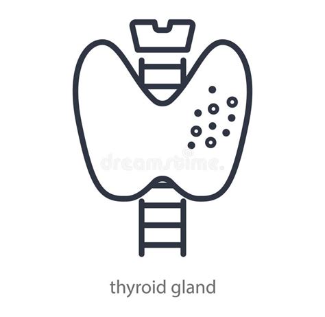 Thyroid Icon Emblem Of Endocrinology Clinic Vector Illustration Of