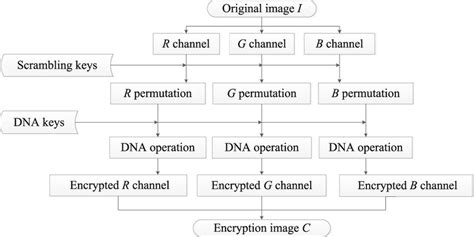 improved image encryption algorithm s flowchart download scientific