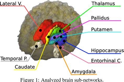 Figure 1 From Early Alzheimers Disease Progression Detection Using Multi Subnetworks Of The