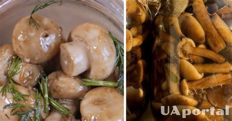 Как приготовить маринованные грибы рецепт консервации на зиму