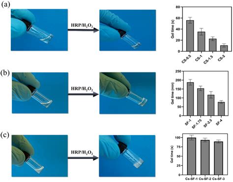 Ovarian Cell Encapsulation In An Enzymatically Crosslinked Silk Based Hydrogel With Tunable