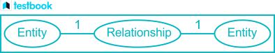 Main Group Elements Overview Properties And FAQs