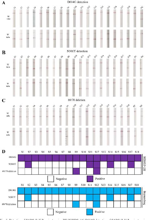 Figure 2 From Rapid And Accurate Detection Of Sars Cov 2 Mutations