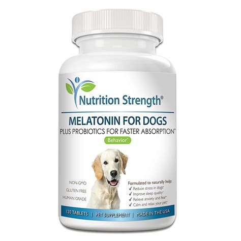 Can A Dog Take A Human Melatonin Supplement