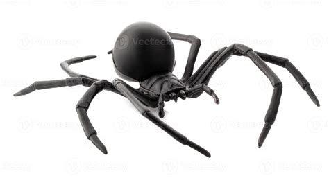 Fake Rubber Spider Toy Isolated Over A White Background 49406459 Stock