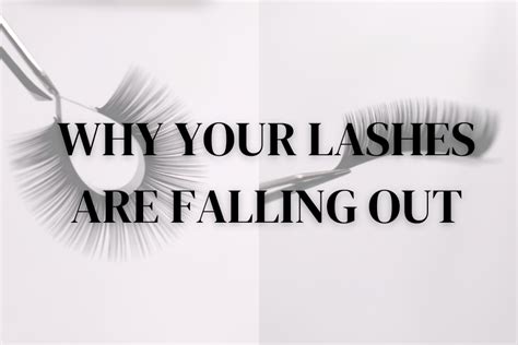 6 Reasons Why Your Lash Extensions Are Falling Out Showit Blog
