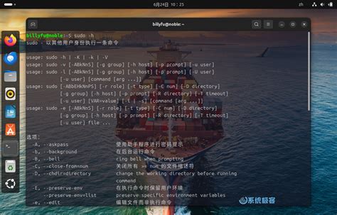windows 11 24h2：sudo 命令让管理操作更便捷 系统极客