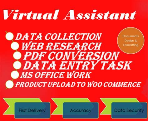 be your virtual assistant for data entry file conversion typing task