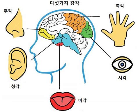 이미지 데이터의 구성과 활용 12 캐드앤그래픽스