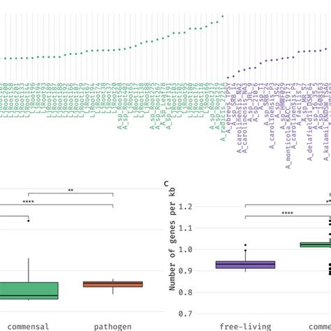 A Dot Chart Of Logarithmic Genome Length For Each Of The Genomes B Download Scientific