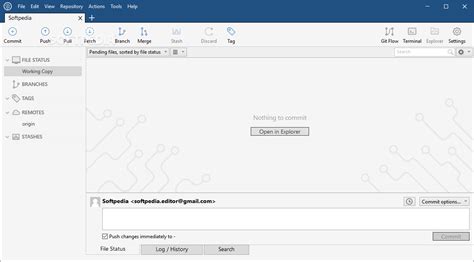 Download SourceTree