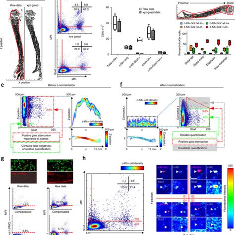 Multicolor Quantitative Confocal Imaging Cytometry Request Pdf