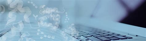 Panel Data Analysis With Stata Course 20th 24th October 2017 Nairobi Kenya Courses And