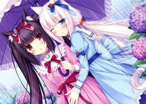 1920x1200 hd nekopara, HD Wallpaper | Rare Gallery