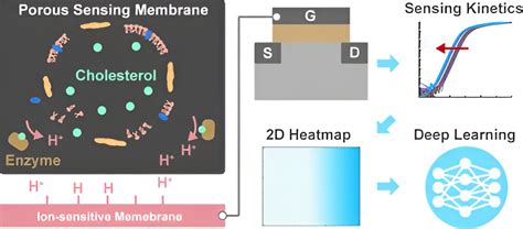 Diagnostic Test That Combines Two Technologies With Machine Learning