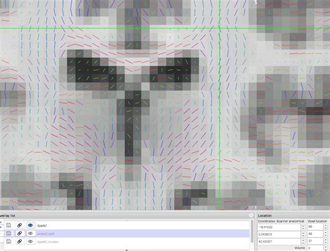 Vector Orientation Confusion Between Mrtrix And Fsl In Rat Data Bvecs