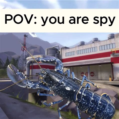 Pov You Are Spy Scrolller