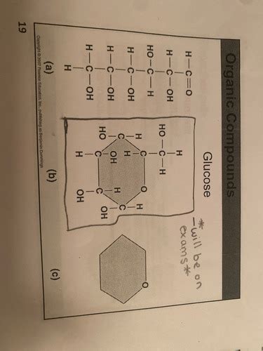 Anatomy Part 2 Flashcards Quizlet