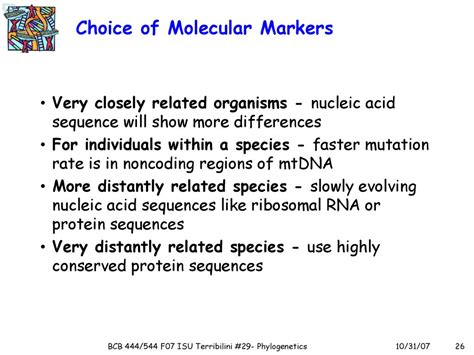 Bcb 444544 F07 Isu Terribilini 29 Phylogenetics Ppt Download