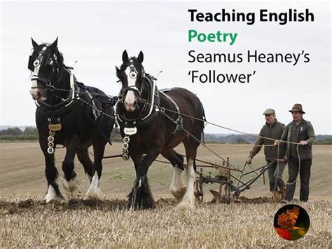 Teaching English Poetry Unit Seamus Heaneys Follower Teaching Resources