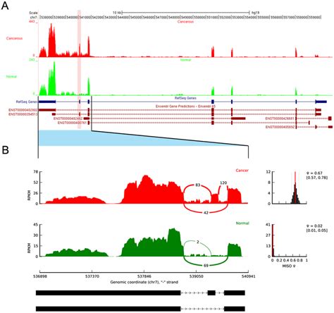 Rna Seq Read Mapping To The Reference Gene Pdgfa A Rna Seq Read