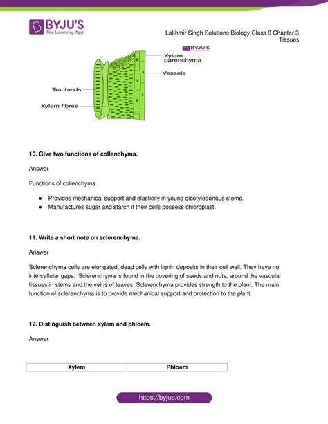 Lakhmir Singh Biology Class 9 Solutions For Chapter 3 Tissues Free Pdf