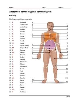 Anatomy Regional Terms Worksheet By 3 2 1 Science Tpt