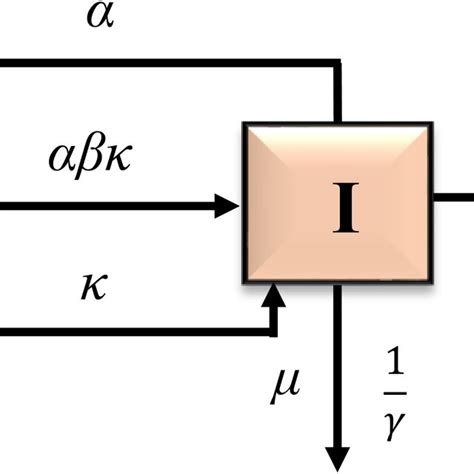 flowchart for proposed sir model 1 download scientific diagram