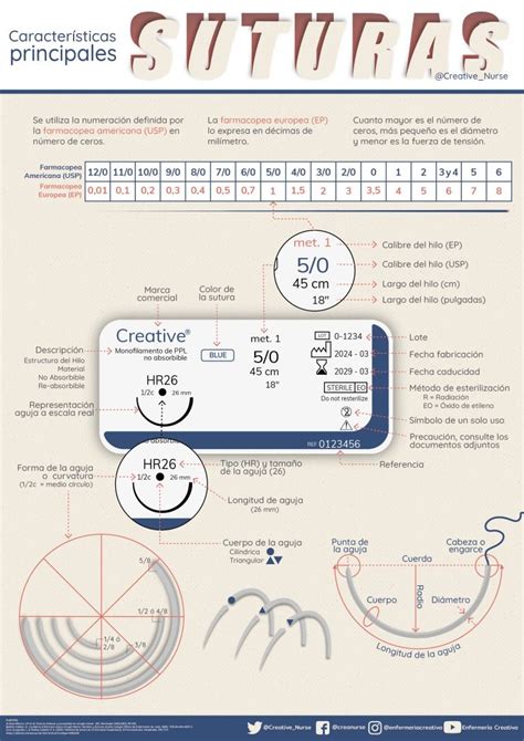 Características principales de las Suturas en 2025 | Tecnico auxiliar ...