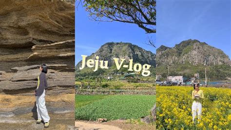 Vlog 친구랑 떠난 제주도 여행 브이로그 제주 서쪽 여행애월 맛집 게하 산방산 Youtube