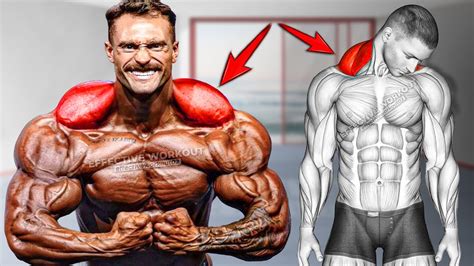5 Exercises For HUGE TRAPS Workout YouTube