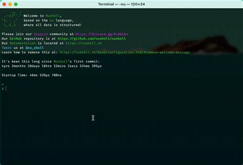 Starting ZSH Inside Nu And Exiting Breaks Issue 9954 Nushell Nushell GitHub