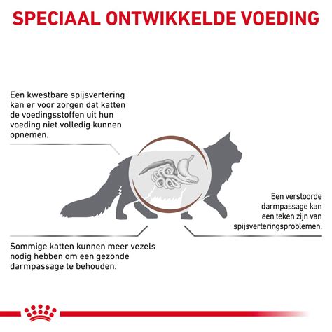 Gastrointestinal Fibre Response | Royal Canin NL