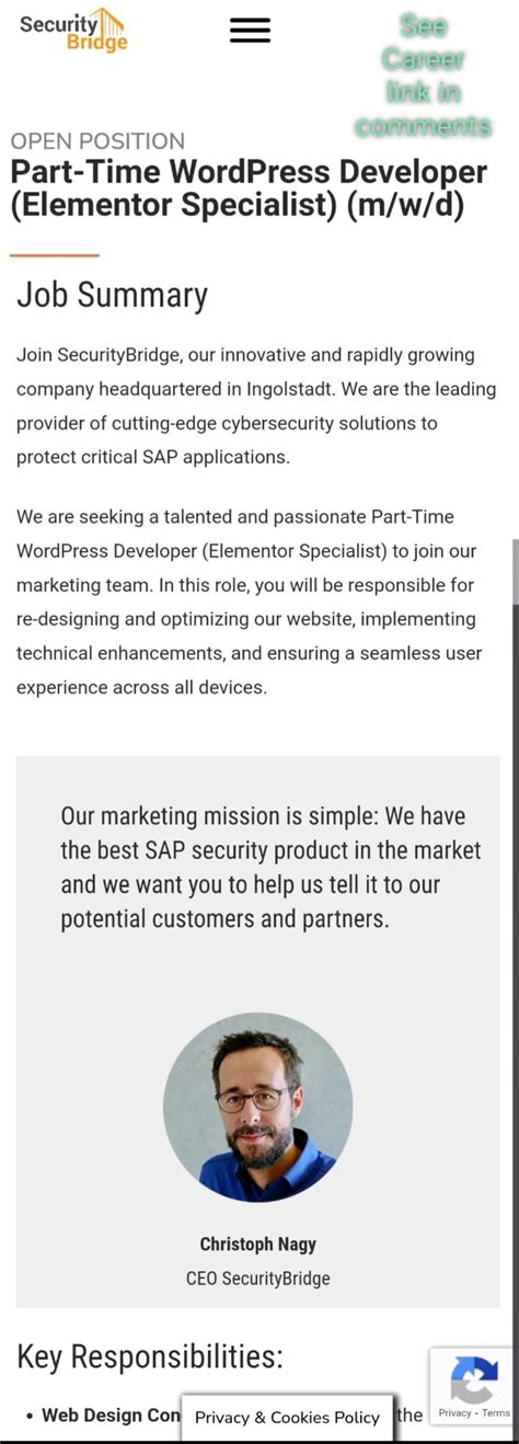 Barry Snow On Linkedin Wordpressjobs Elementorwebsite Javascript Seooptimization