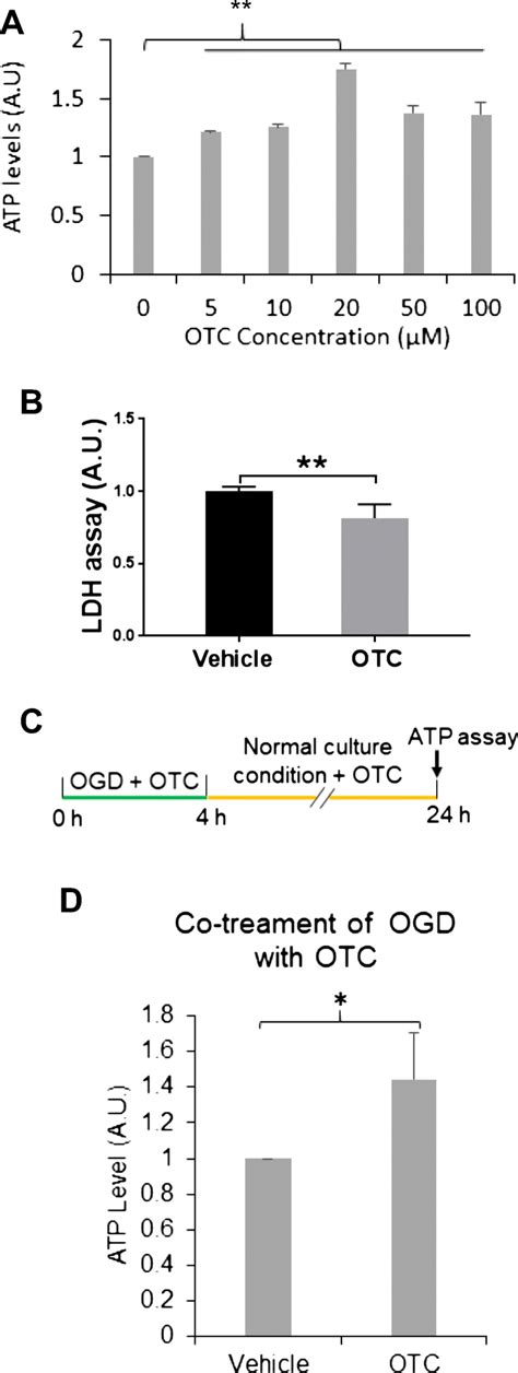 Otc Protects Neuronal Cultures Against Ogd Caused Cell Injury A Otc